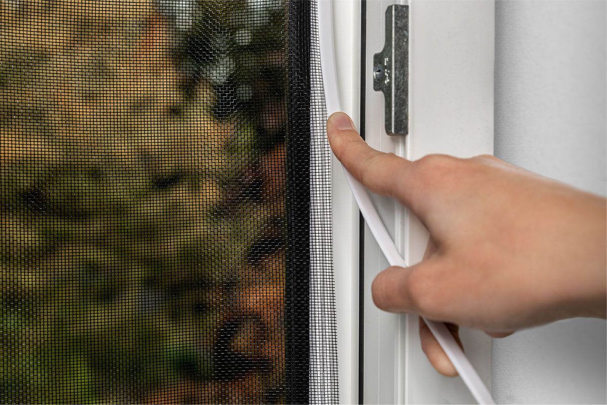 Schellenberg Insektenschutz & Fliegengitter